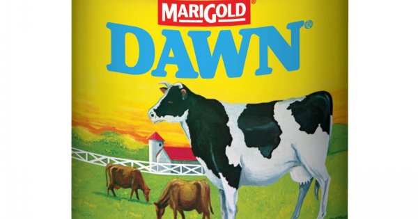 Marigold Dawn Sweetened Beverage Creamer 1Kg