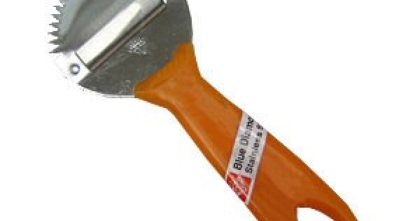 Coconut Scraper Hand